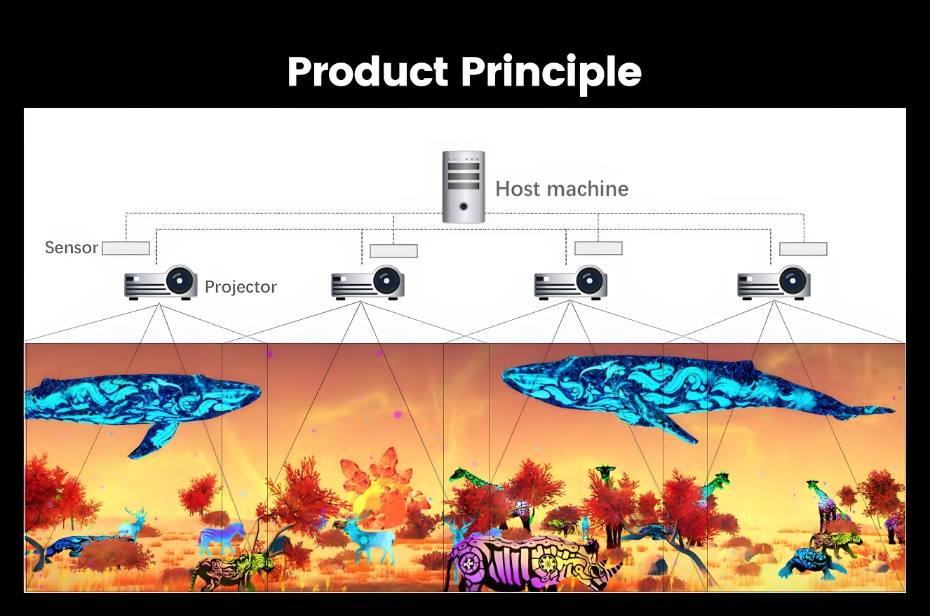 3D Interactive Wall Projection 6 Channels Immersive Projector
