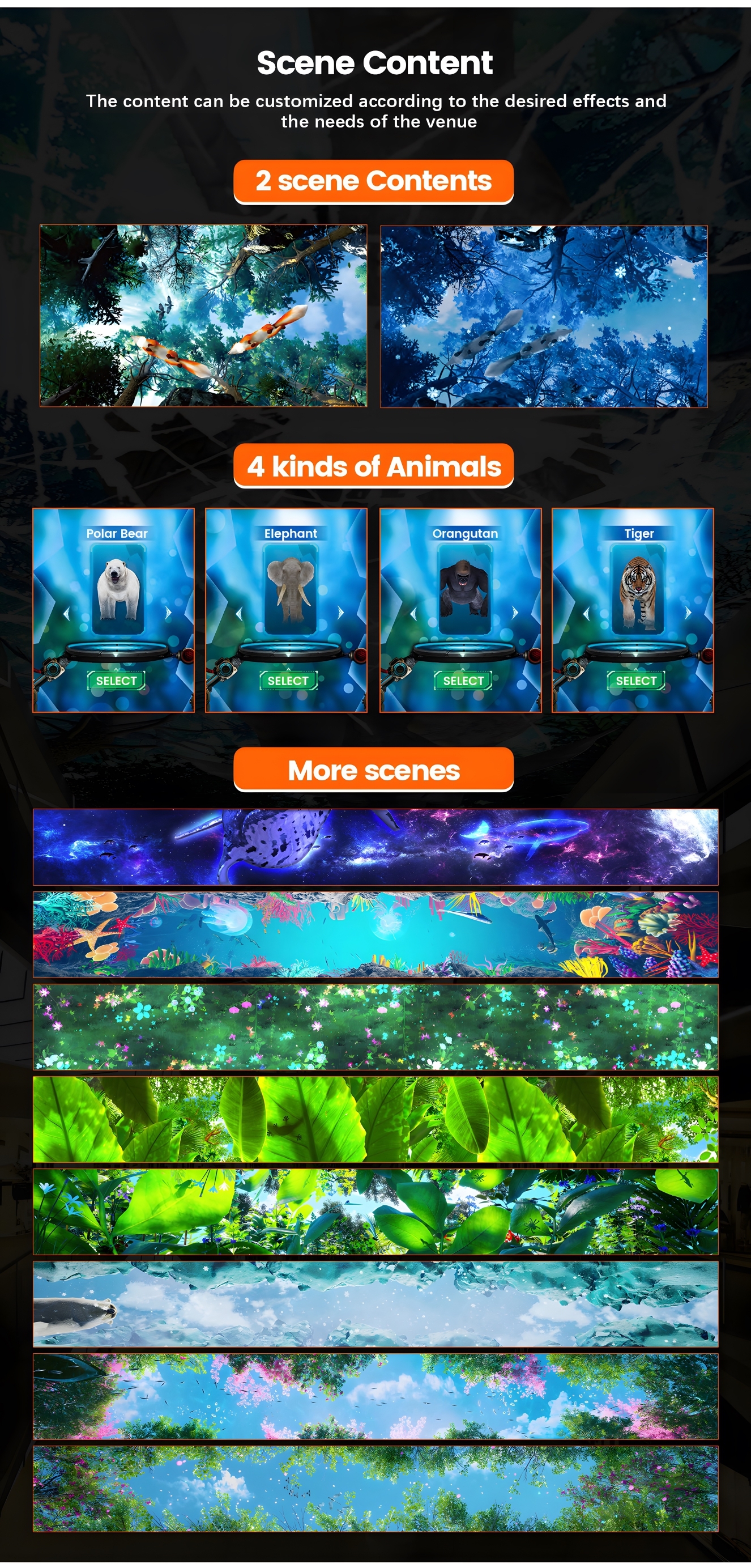 Immersive Video Projection Mapping For Cafe Supermarket Shopping Mall ...