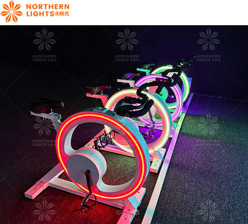 Northern Lights Racing Bike Simulator Game Machine Racing Projection