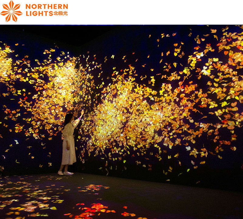 Digital Art Projection Mapping Museum/Exhibition Immersive 360 Wall ...