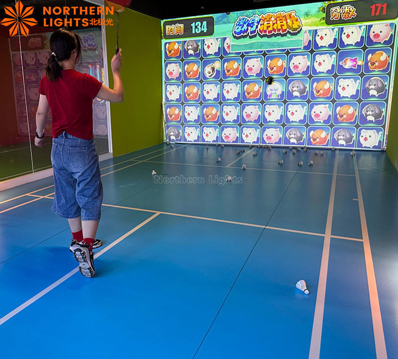 Large Digital Sports Hall Badminton Baseball Projection Simulator ...