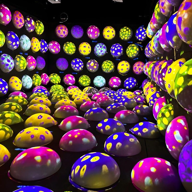 Amusement Park Indoor Colorful Bouncy Ball Game Interactive Jumping ...