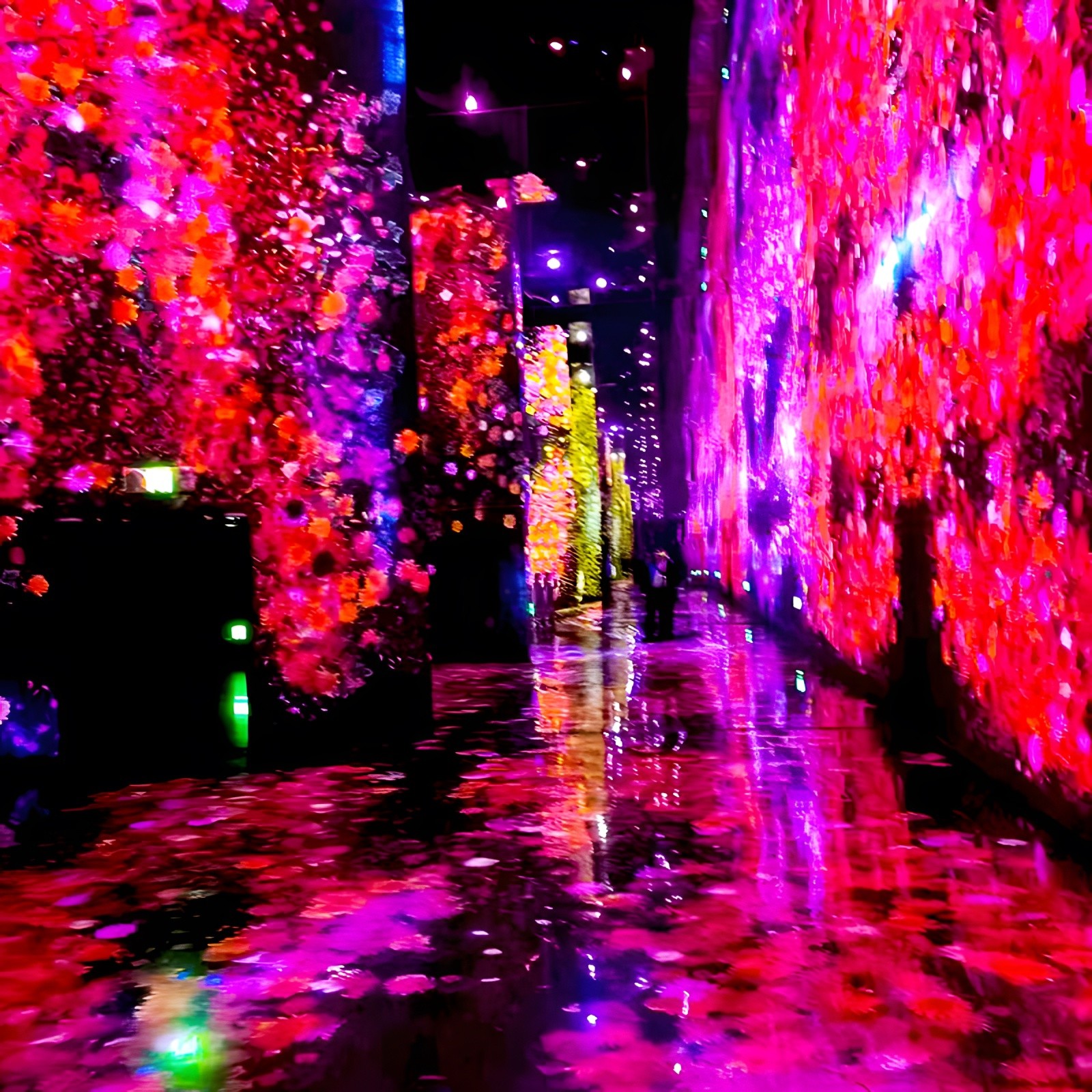 Immersive Romantic 360 Wall Projection System Immersive Art Exhibition ...